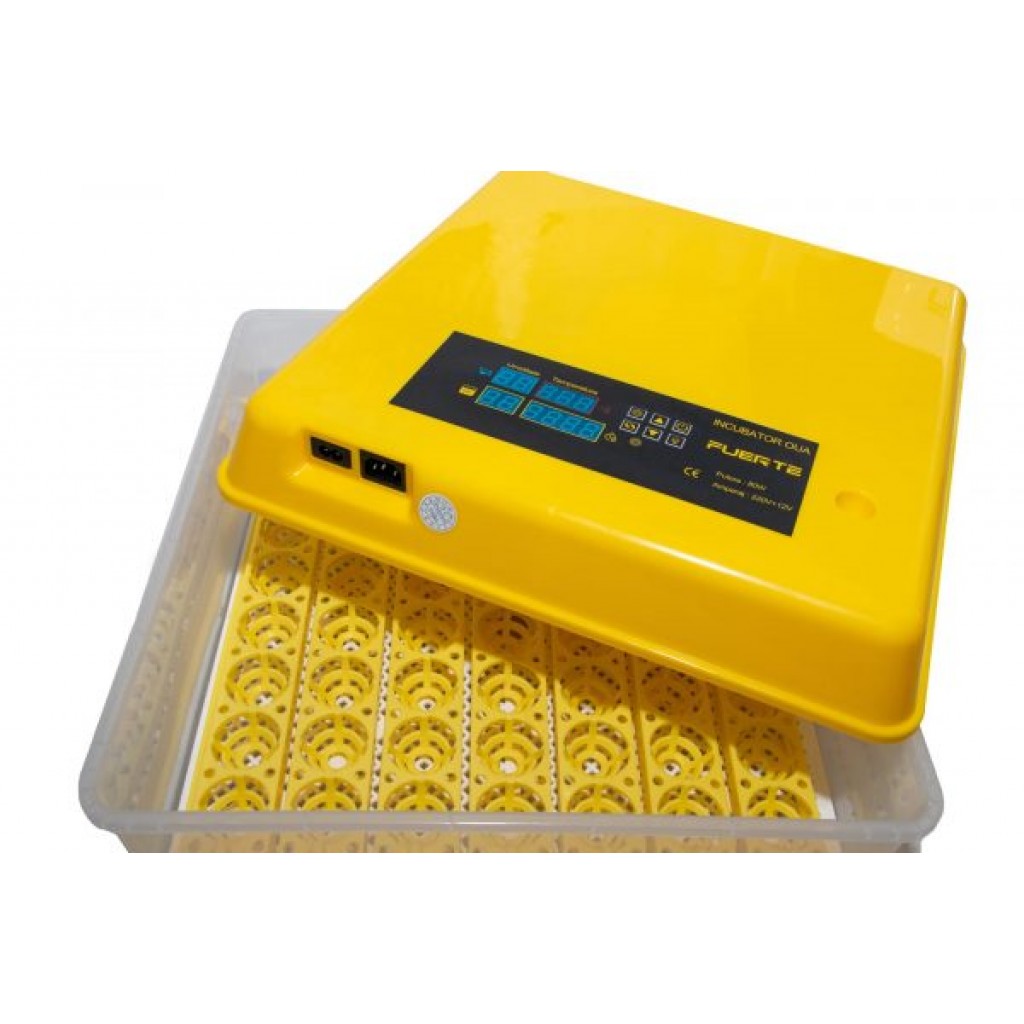 Incubator - Clocitoare de oua -56 oua - FUERTE